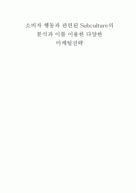 소비자 행동과 관련된 Subculture의 분석과 이를 이용한 다양한 마케팅전략-1페이지