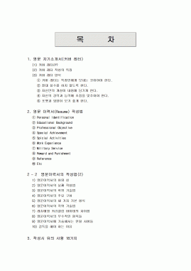 영문이력서 및 영문자기소개서 작성-1페이지