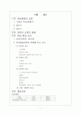 태아발달과태내환경조건-1페이지