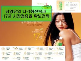 [마케팅] 남양유업 다각화전략과 17차 시장점유율 확보전략-1페이지