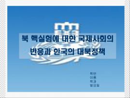 [북핵실험] 북한 핵 실험 이후 각국의 입장과 대북정책의 문제점과 나아갈 방향(2007년  추천 우수 레포트 선정)-1페이지