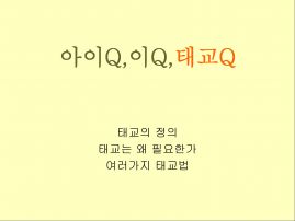 아이Q,이Q,태교Q-1페이지