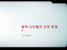 탈북 난민들의 인권문제에 대한 실태와 새터민 인권 보장을 위한 대책방안 (2007년  추천 우수 레포트 선정)-1페이지