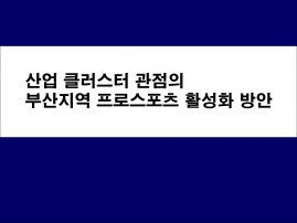 산업 클러스터 관점의 부산지역 프로스포츠 활성화 방안 (전략 기획서)-1페이지