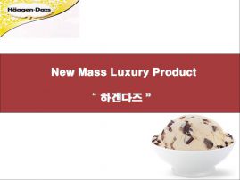 New Mass Luxury Product 하겐다즈 마케팅 전략기획서-1페이지