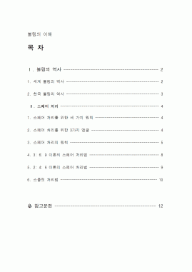 볼링의 이해  - 볼링의 역사와 스페어처리 방법-1페이지