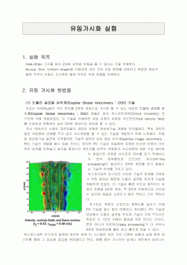 유동가시화 실험-1페이지