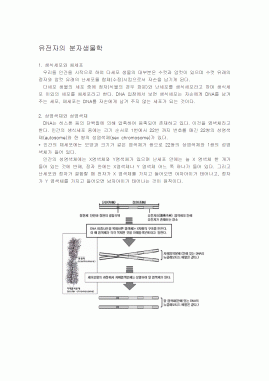 유전자의 분자생물학-1페이지