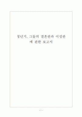 청년기, 그들의 결혼관과 이성관에 관한 보고서-1페이지