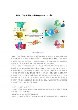 DRM의 기술에 따른 분류, 상품 및 현재 적용분야와 미래전망에 대해 논하시오.-1페이지