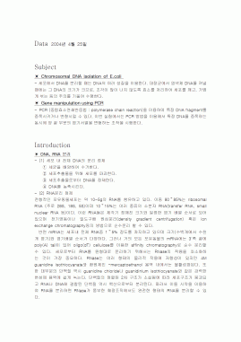 Chromosomal DNA isolation of E.coli(대장균) Gene manipulation using PCR-1페이지