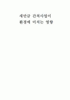 새만금 간척 사업이 환경에 미치는 영향 - 찬반론-1페이지