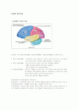 신경계의 특수간호-1페이지