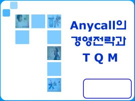 [사회과학] [경영전략과 TOM] Anycall의 경영전략과 TQM 분석 (총체적 품질관리론)-1페이지