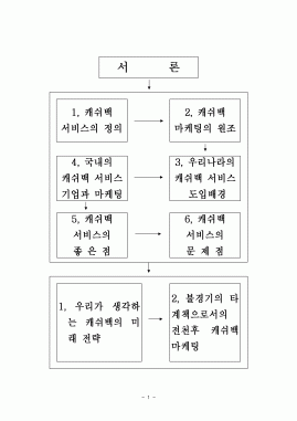 [마케팅관리]고객충성도를 높이기 위한 캐쉬백(Cash bag) 마케팅 조사-1페이지