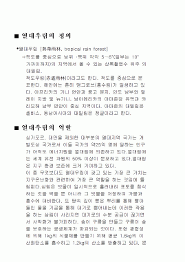 지구환경에서 열대 우림의 역활 조사-1페이지