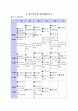 유도선수의 훈련(트레이닝) 계획서-1페이지