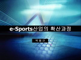 e-Sports산업의 확산 과정-1페이지