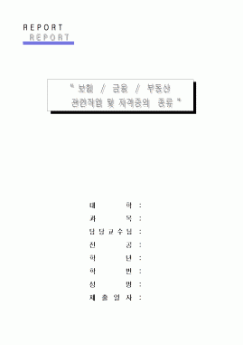 “ 보험  /  금융  /  부동산-1페이지