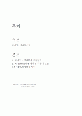 최대산소섭취량-1페이지