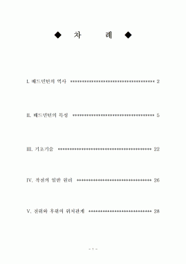 배드민턴의 역사 특성 기초기술 작전의 일반원리-1페이지