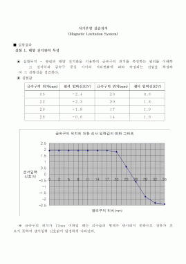 자기부양-1페이지