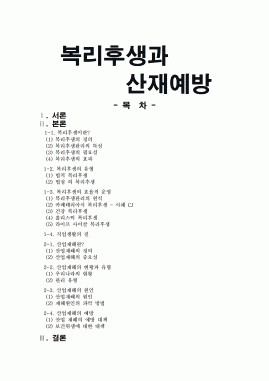 복리후생과 산업재해  (복리후생의 정의, 특성, 유형, 효율성, 사례, 산업재해의 원인, 실태, 예방방안 등등)-1페이지