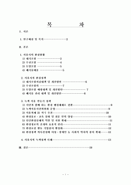 서울시의 녹색 서울 만들기 정책  검토, 타당성 조사,  환경에 미치는 영향 및 친환경 도시 방안-1페이지