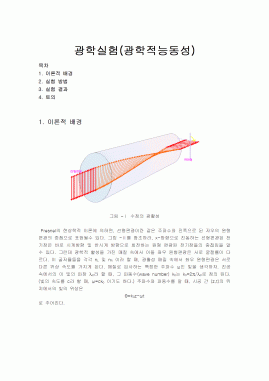 광학적능동성(광학실험)-1페이지