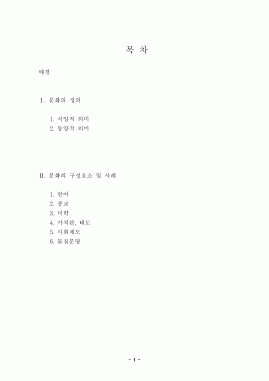 국제경영과 문화적 환경과의 관계-1페이지