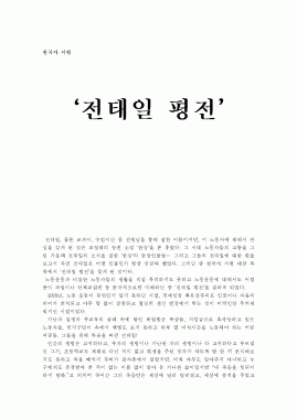 전태일 평전 생각, 견해-1페이지