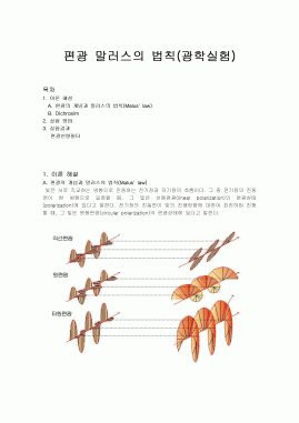 편광 말러스의 법칙(광학실험)-1페이지