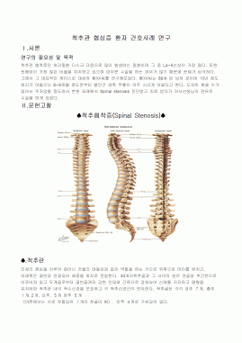 [성인간호학]척추관협착증 CASE-1페이지