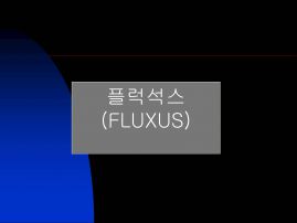 플럭서스(FLUXUS)-1페이지