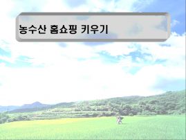 농수산홈쇼핑 마케팅기획서-1페이지