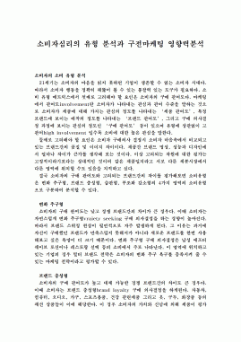 소비자심리의 유형 분석과 구전마케팅 영향력분석-1페이지