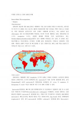 임상병리(말라리아에 관해 조사함)-1페이지