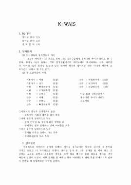 심리검사 MMPI K-WAIS 심리 SCT TAT 심리검사 심리학-1페이지