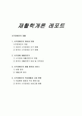 시각장애인의 현황과 시각장애인의 재활훈련 서비스 및 직업재활 방법-1페이지