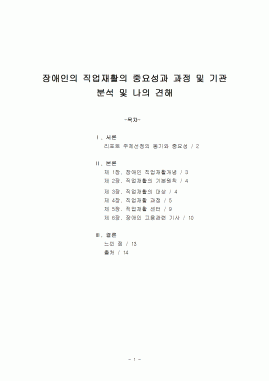 [장애인복지]장애인의 직업재활의 중요성과 과정 및 기관 분석 및 나의 견해-1페이지