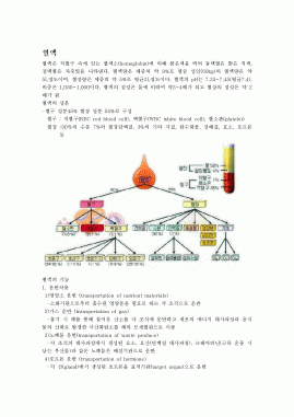 혈액(blood 血液)의 주요 내용과 기능 -1페이지