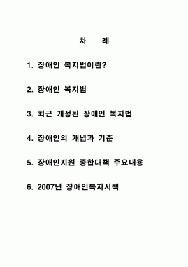 [2007년 장애인복지시책] 장애인 복지법의 개념과 종류 및 내용과 특징 각각 분석 레포트-1페이지