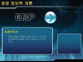 ERP 통합정보시스템-1페이지
