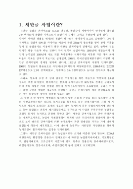 새만금 간척사업의 환경과 경제문제-1페이지