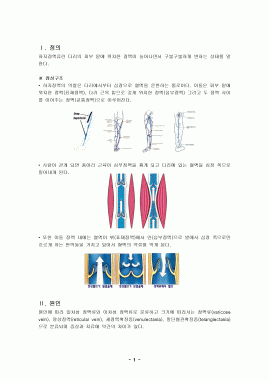 [논문] 하지정맥류 -1페이지