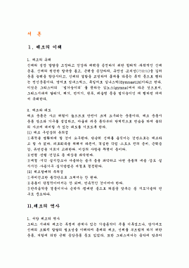 [분석/조사] 기계체조 -1페이지