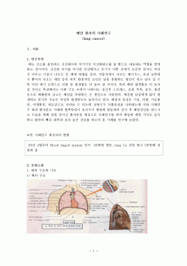 폐암사례연구-1페이지