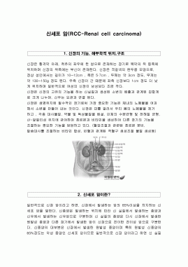 신세포암(RCC-Renal cell carcinoma)문헌고찰-1페이지