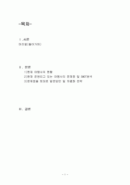 여행사 창업 (무전여행 아이템을 이용하여 창업)-1페이지