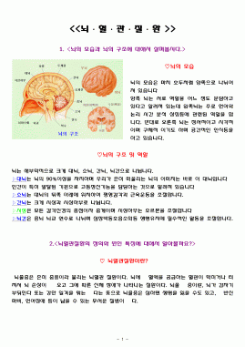 뇌혈관질환 보건교육자료-1페이지